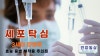 세포탁심 주사 1g 항생제 효능 용법 부작용 효과 뇌수막염 임질 폐렴 네이버 블로그